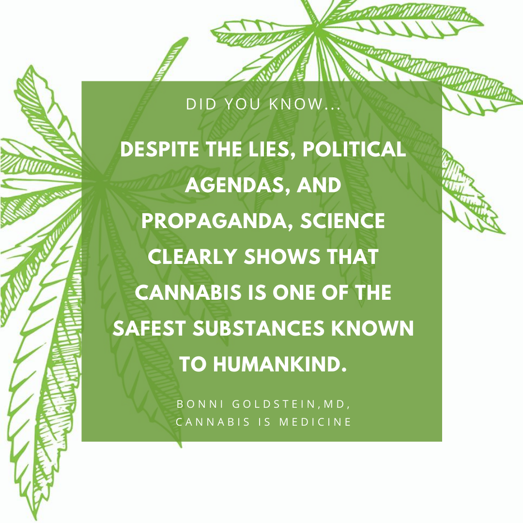 Let’s Talk Cannabis Books: Cannabis is Medicine - Let's Talk Cannabis